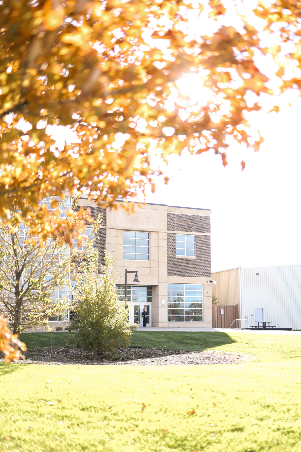 M State selected as new host of regional Small Business Development ...