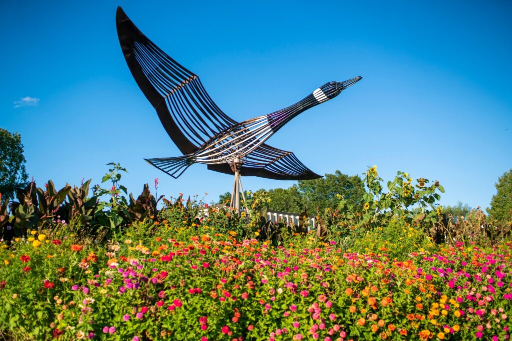 Things To Do In Fergus Falls - Otter Tail County